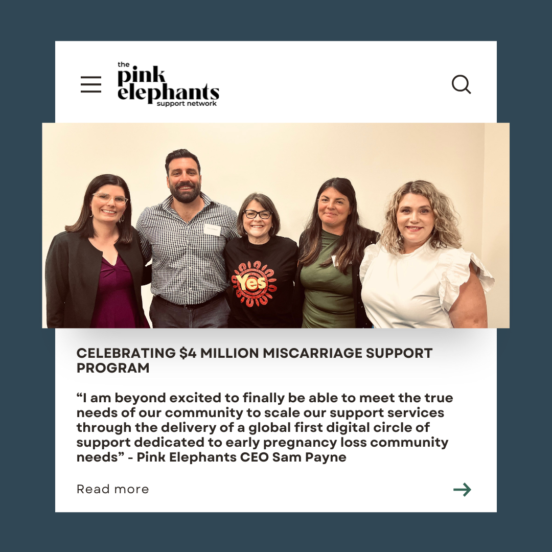 The Pink Elephants Support Network - Home