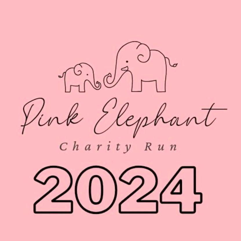 The Pink Elephants Support Network - Pink Elephant Charity Run