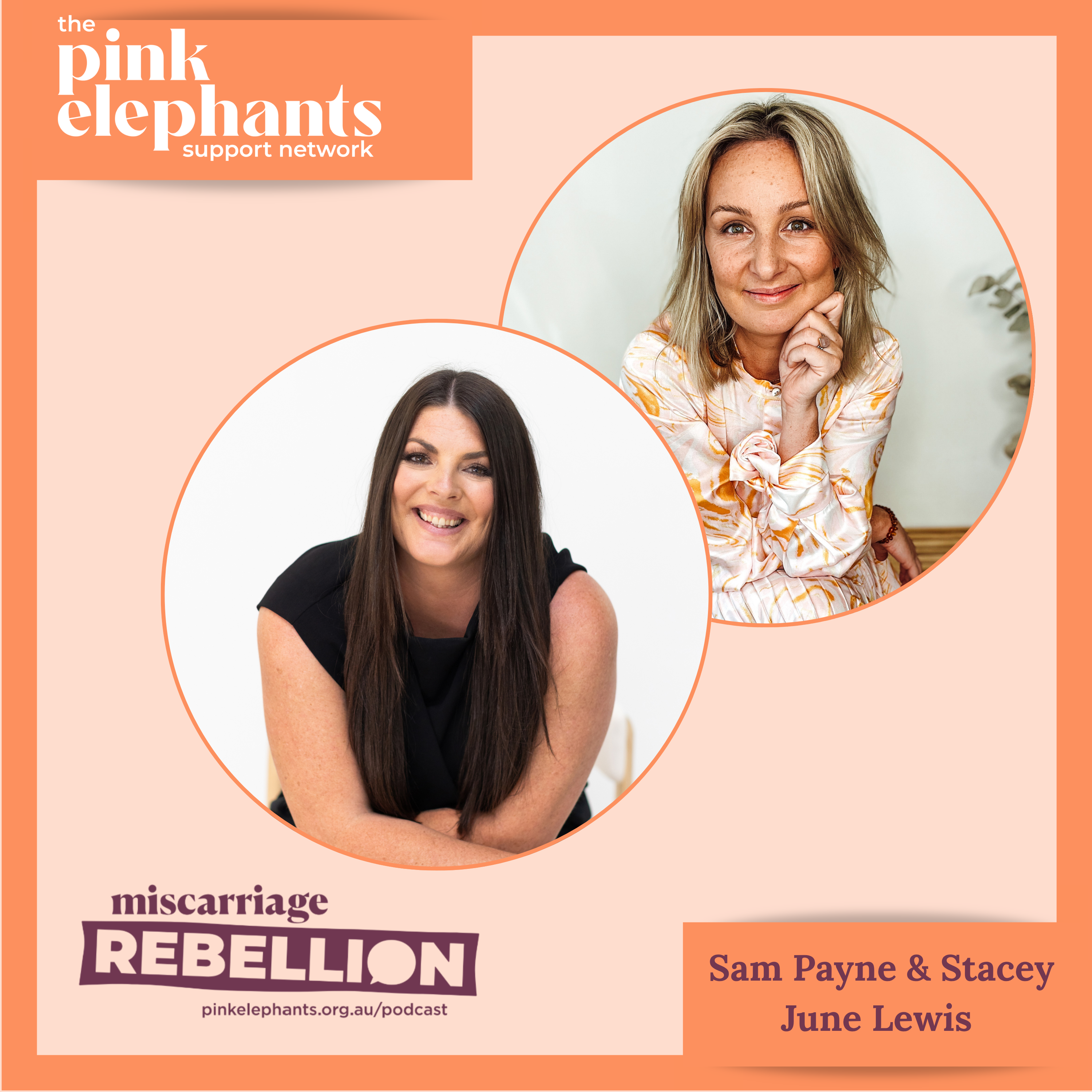 Downloadable Resources for Miscarriage Support | Pink Elephants - The ...