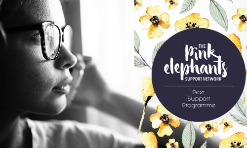 The Pink Elephants Support Network - News - The Importance of Peer Support